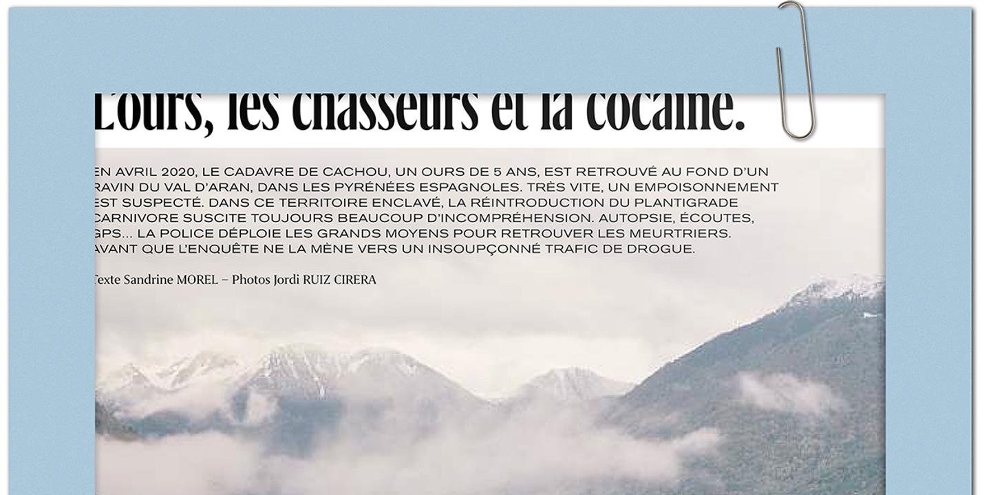 Les suspects de la mort de l’ours Cachou candidats aux élections ...