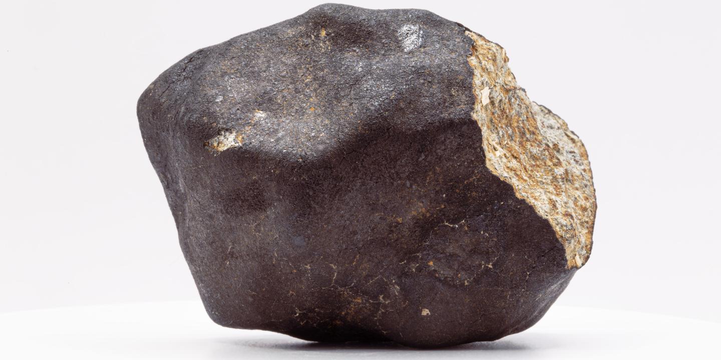 The chase between meteorite hunters and the French Natural History Museum