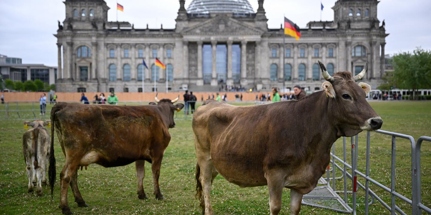 En Allemagne, le bio a reculé pour la première fois de son histoire en 2022