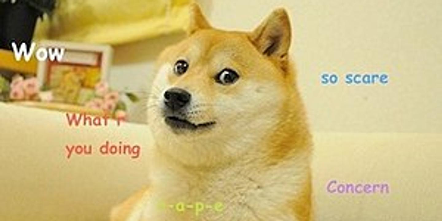 Mort de « Doge », le chien devenu l’un des mèmes les plus connus d’Internet