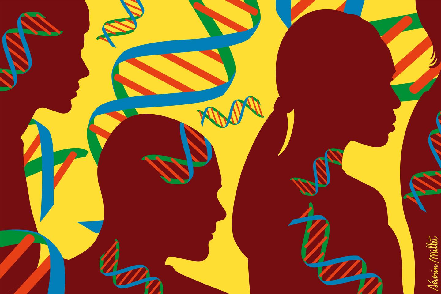 Le génome humain livre une nouvelle version plus représentative de la ...