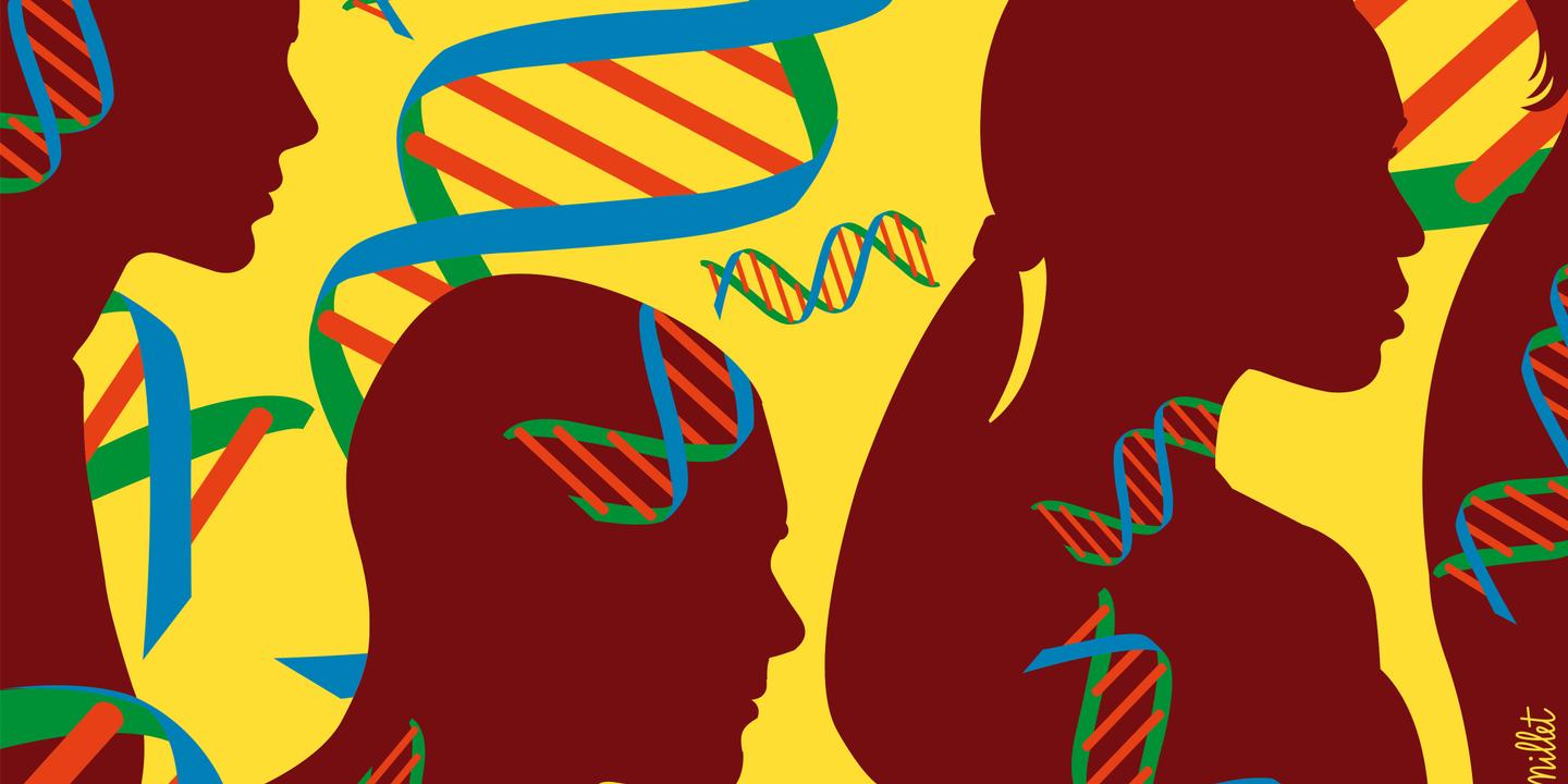 Le génome humain livre une nouvelle version plus représentative de la ...