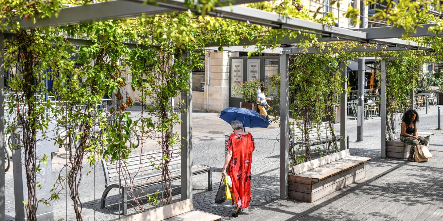 France adopts its first heat wave management plan