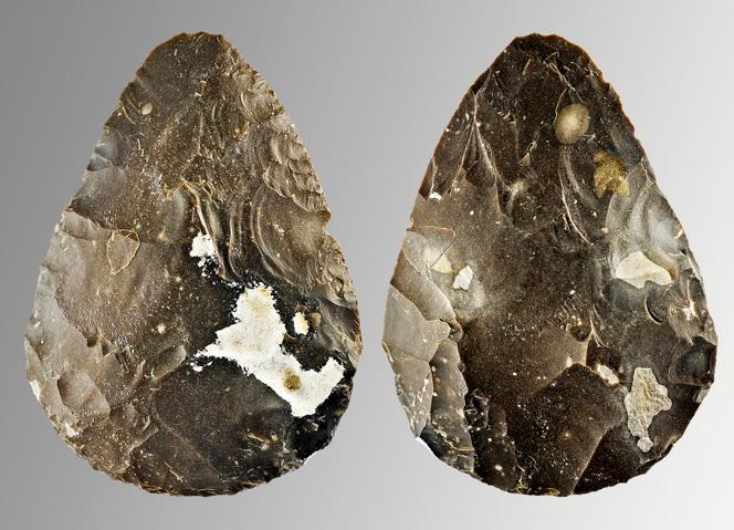The Neanderthal biface, the Swiss Army knife of France's first inhabitants