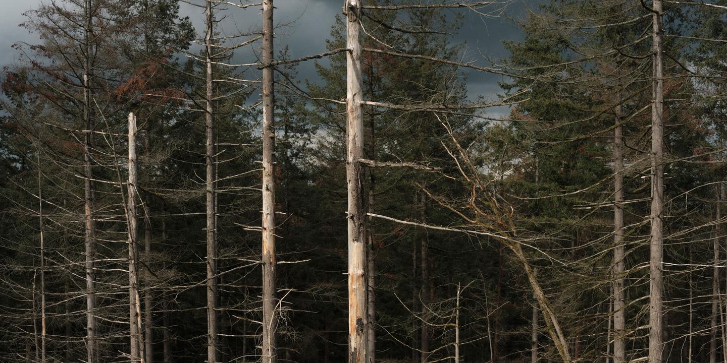 Climate change: We must transform our country and ways of thinking