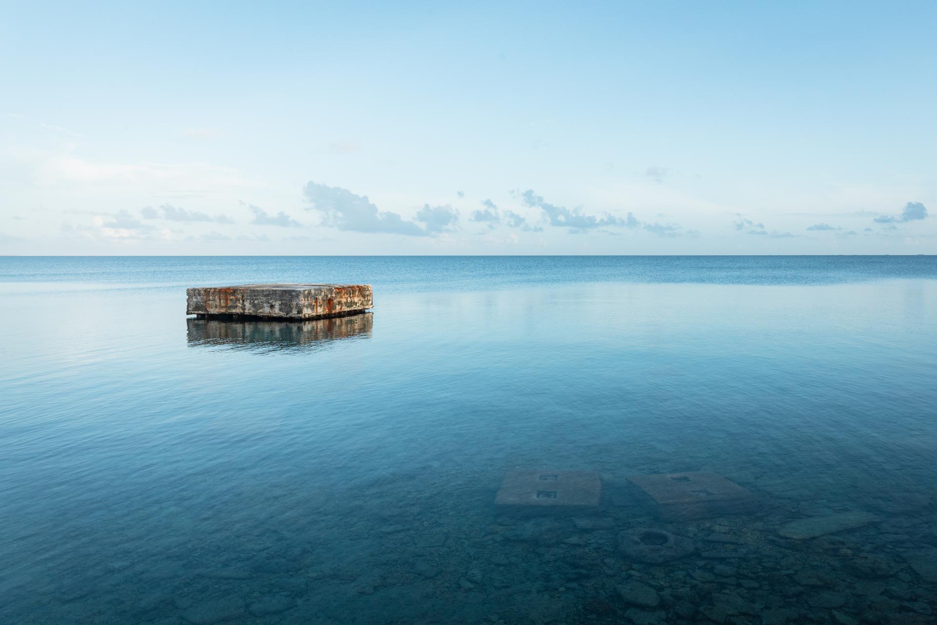 Staving off extinction in French Polynesia