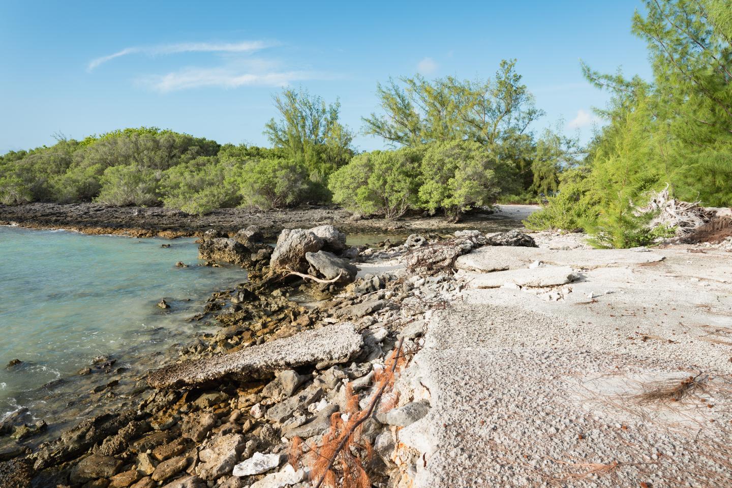 Staving off extinction in French Polynesia