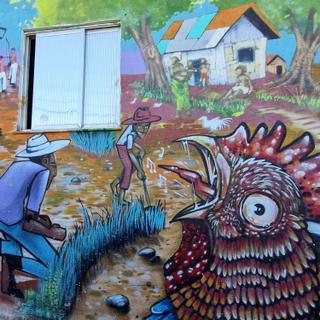 A visit to Brazil's 'social museums' inside favelas