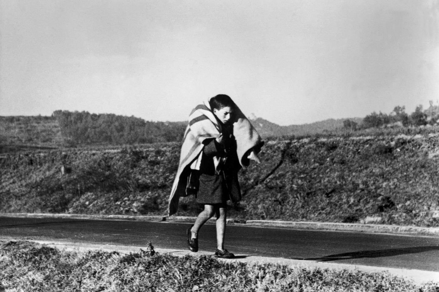 Paris museum reopens permanent exhibit recounting diverse experiences ...