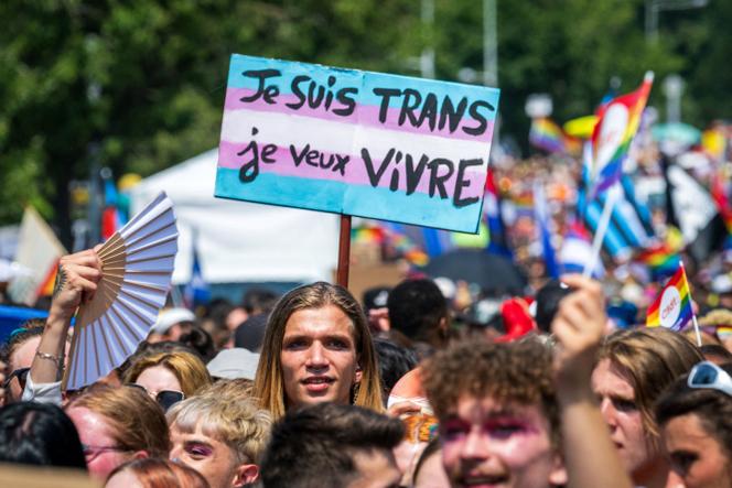Marche Des Fiertés Lgbt De Paris La Montée De La Transphobie Au Cœur
