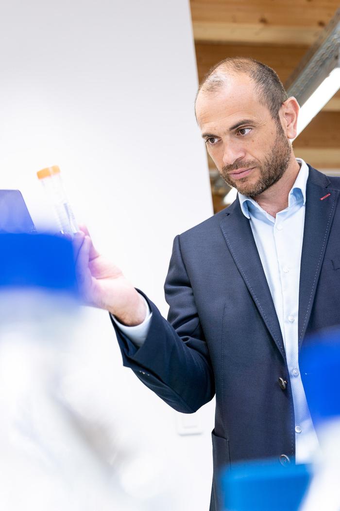 Trois pistes pour adapter le vignoble aux fortes chaleurs