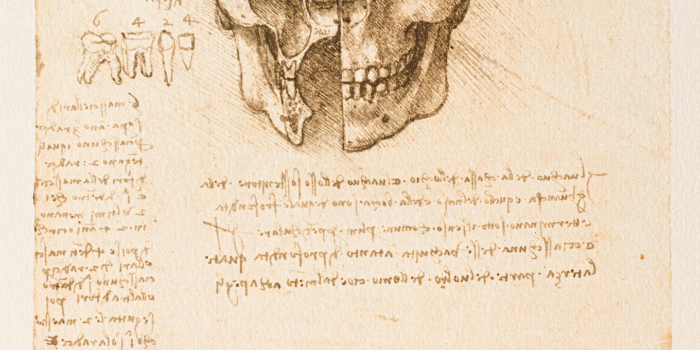 Exposition « Léonard de Vinci et l’anatomie » : la mécanique de la vie ...