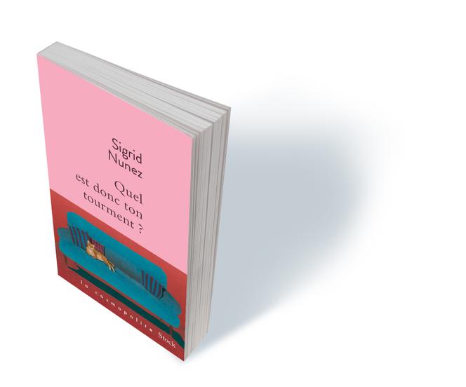 Les meilleurs romans, récits et essais à lire cet été : les choix du ...