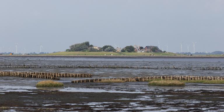 A Öland, Hanni Petersen, facteur chenal