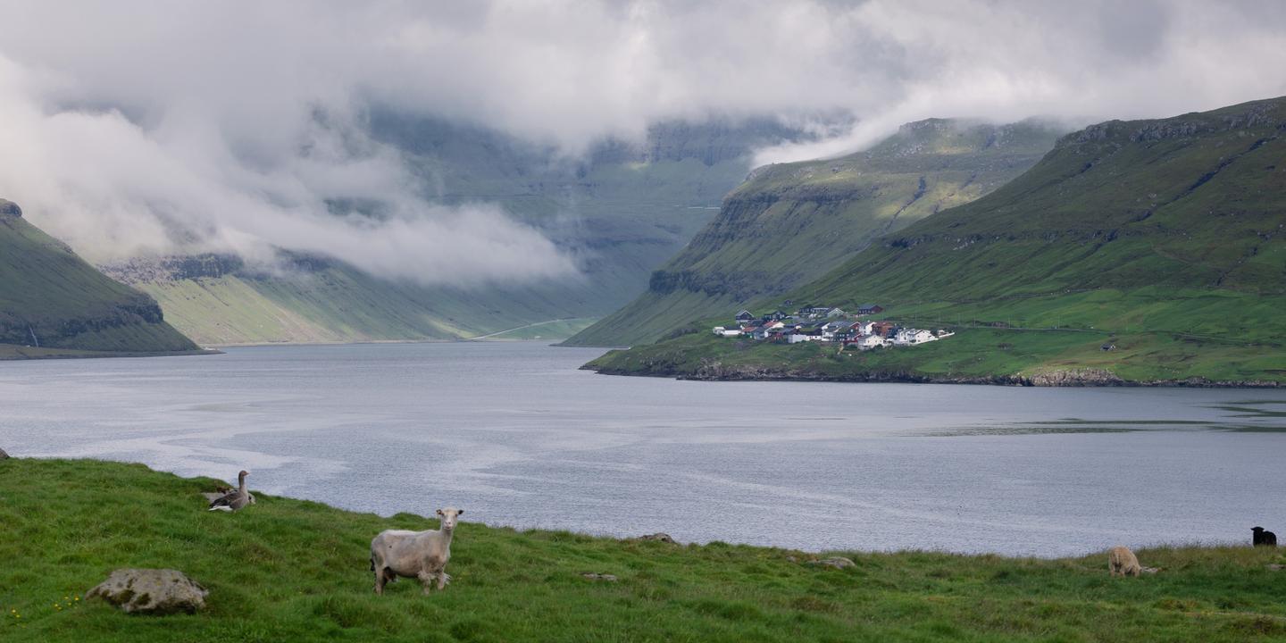 Sur Streymoy, Liv Maria Roadottir Jæger, plume sensible