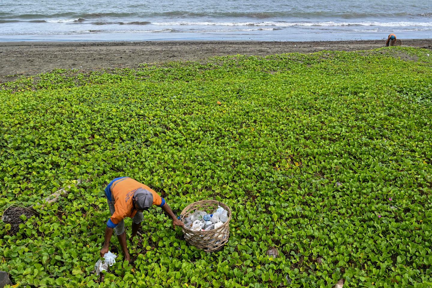 Bottle deposits: A crucial factor in reducing plastic use