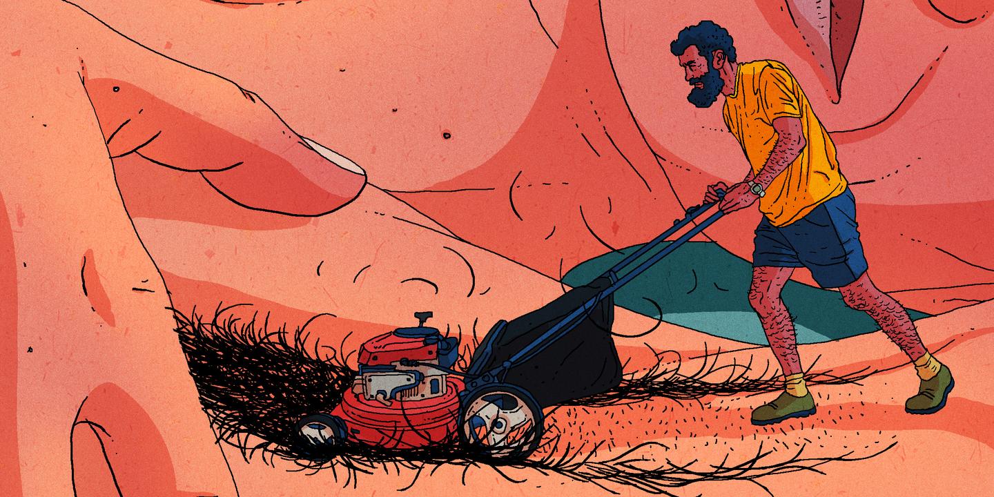 Aux racines des batailles du poil, une histoire politique de désirs et ...