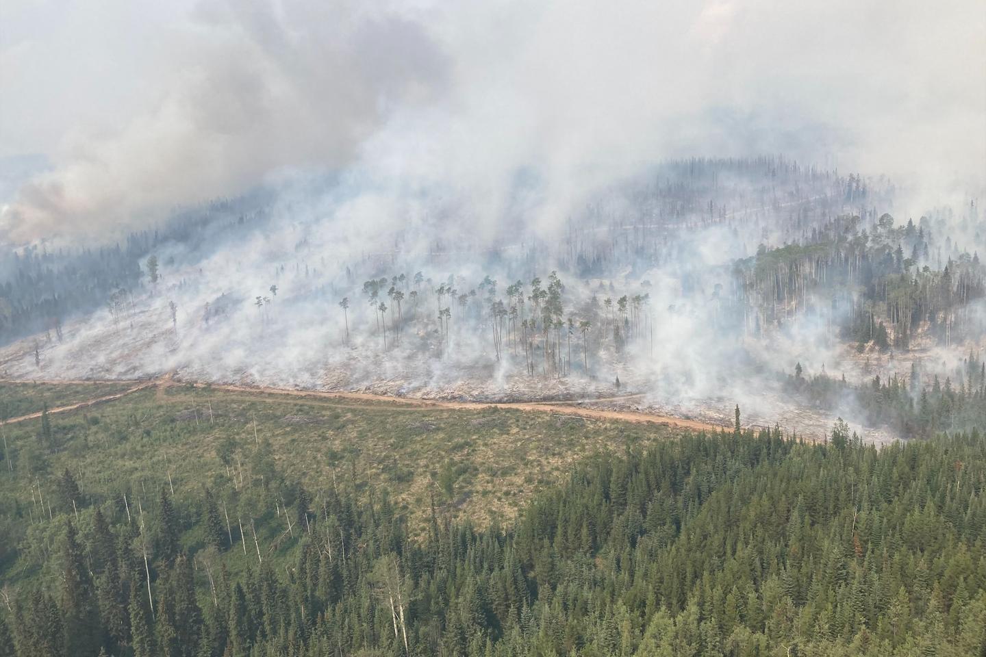 Canada wildfires burn a record-breaking 10 million hectares