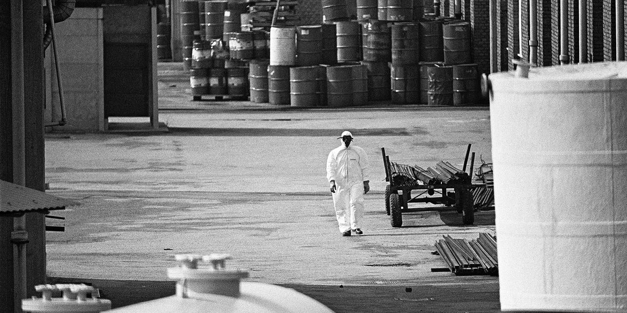 In 1976, Seveso's poisoned summer: 'Nature became our enemy'