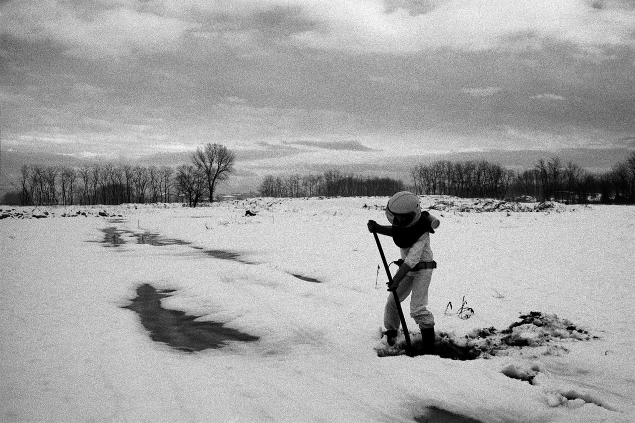 In 1976, Seveso's poisoned summer: 'Nature became our enemy'
