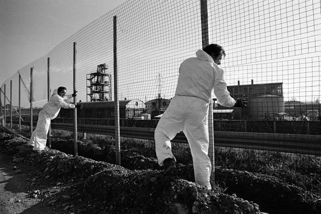 In 1976, Seveso's poisoned summer: 'Nature became our enemy'