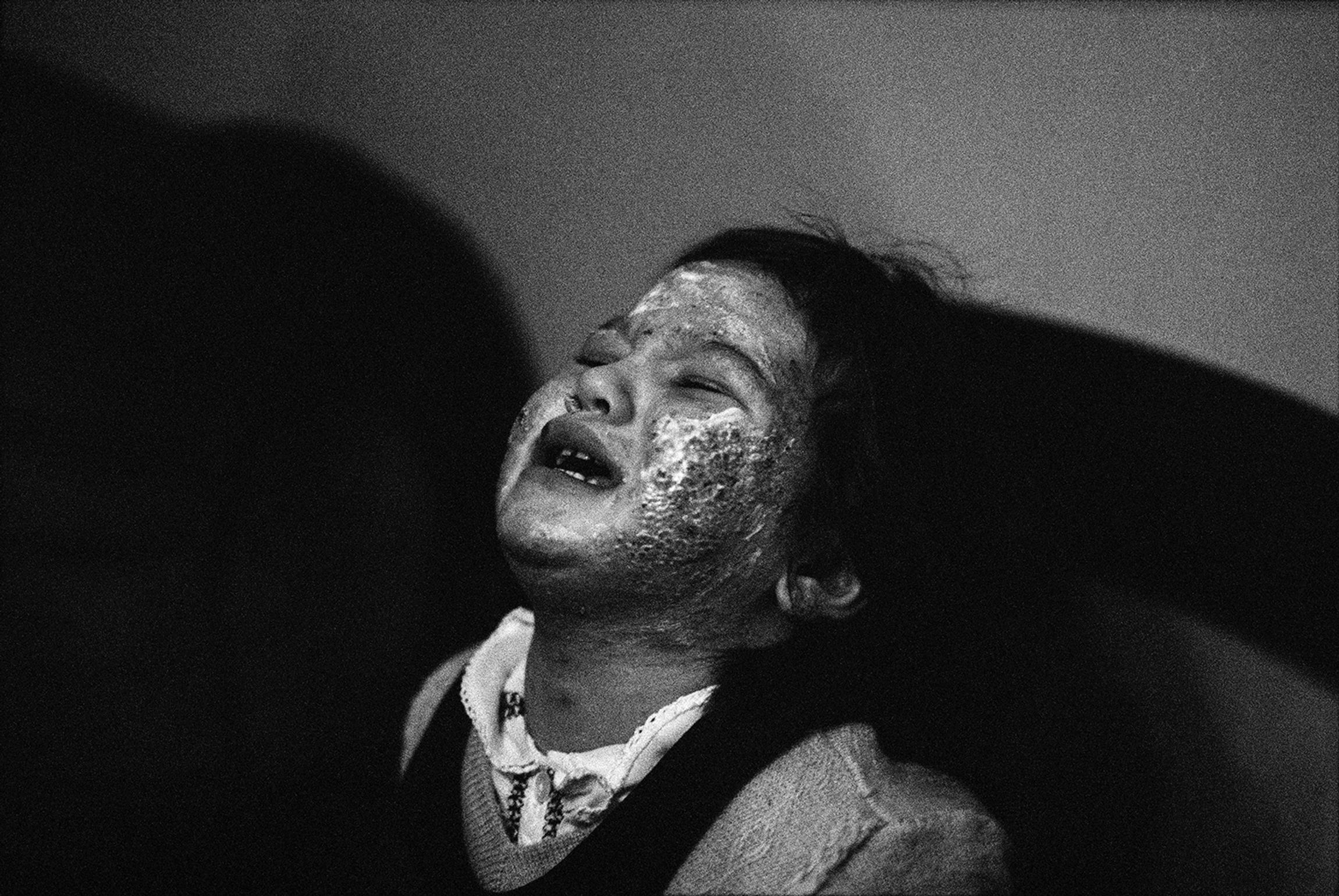 In 1976, Seveso's poisoned summer: 'Nature became our enemy'