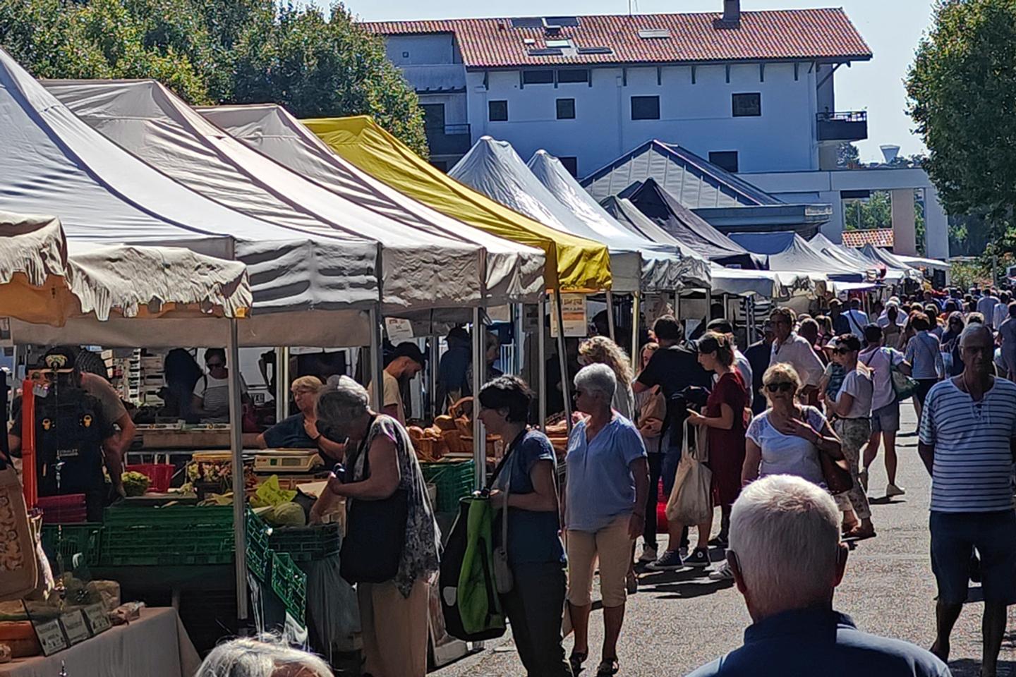 Sur le marché d’Anglet, piments, breuil et chipirons