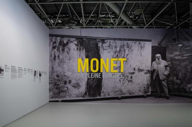 Monet's daring exploration of space and light in his Mediterranean ...