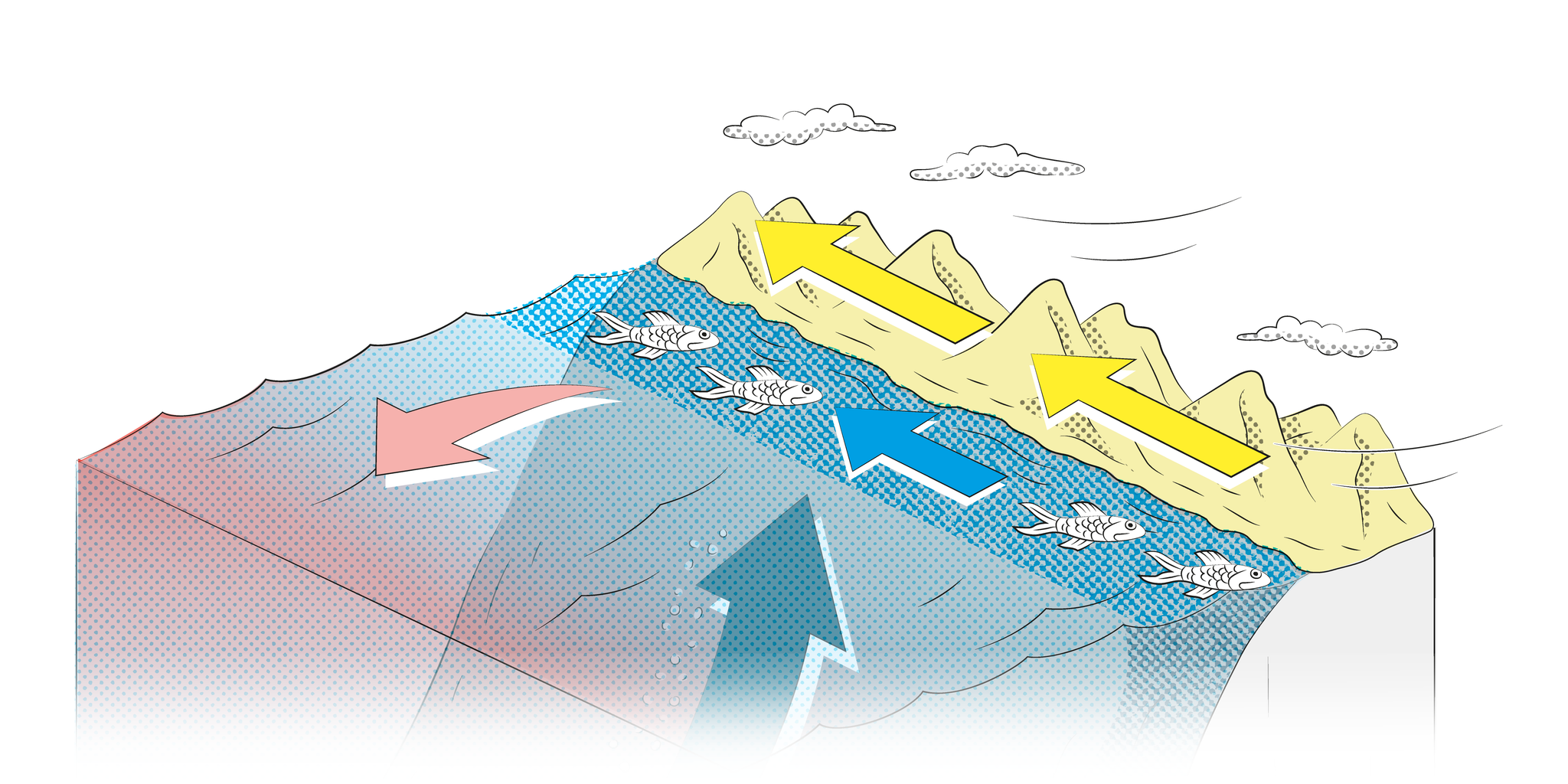 The Humboldt Current, a fish-rich system under threat