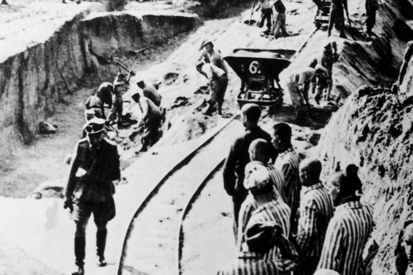 Olivier Wieviorka : « La seconde guerre mondiale a contraint chaque ...