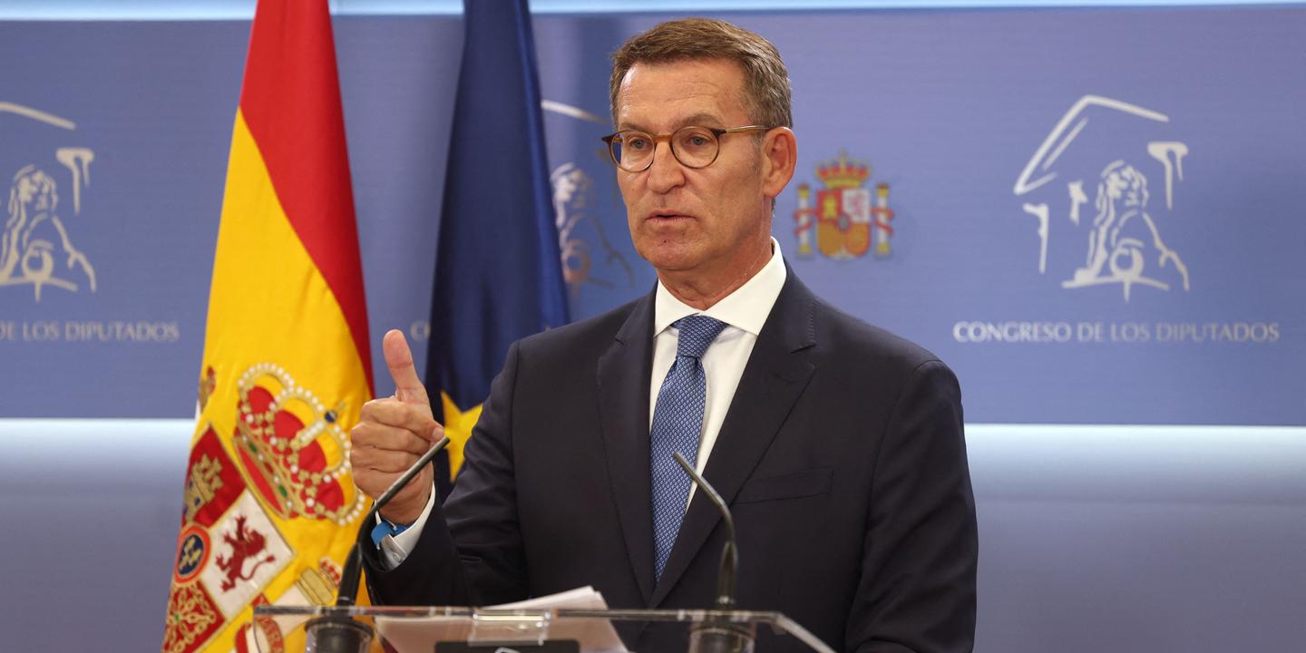 Spain: King Felipe VI calls on conservative leader Feijoo to form ...