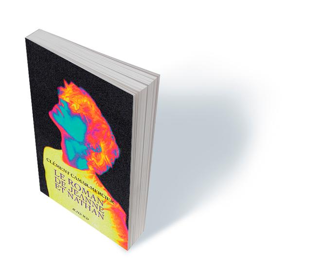 Nos idées de lecture : « La Colère et l’Envie », « Triste tigre ...