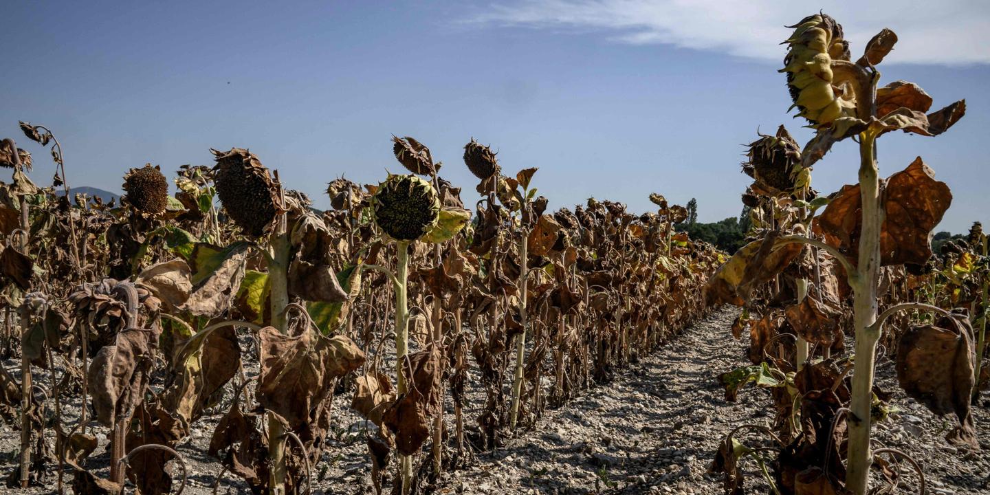French heat wave sets new late-summer record