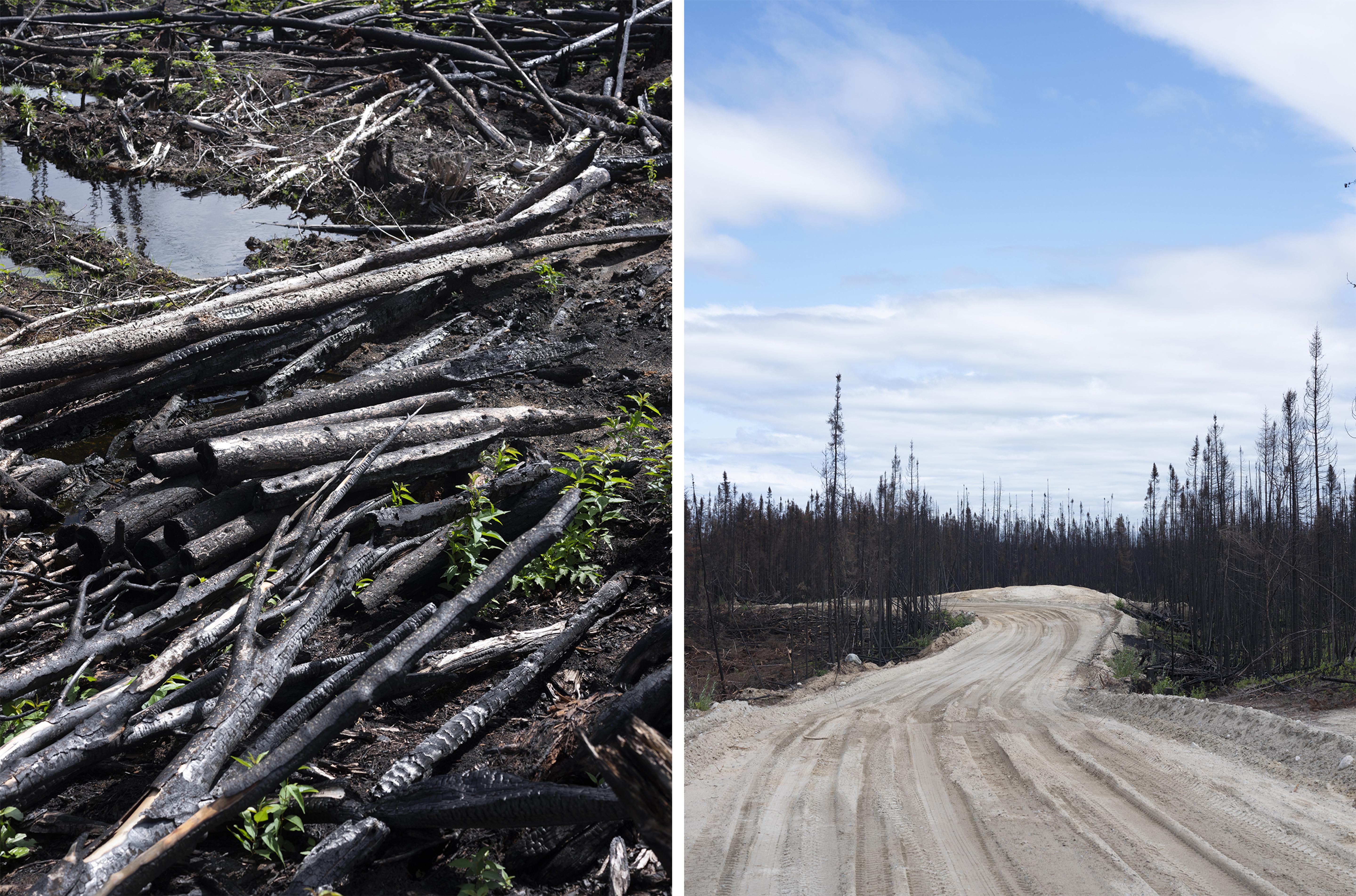 After the devastating 'Fire 344', the future of Canada's boreal forest ...