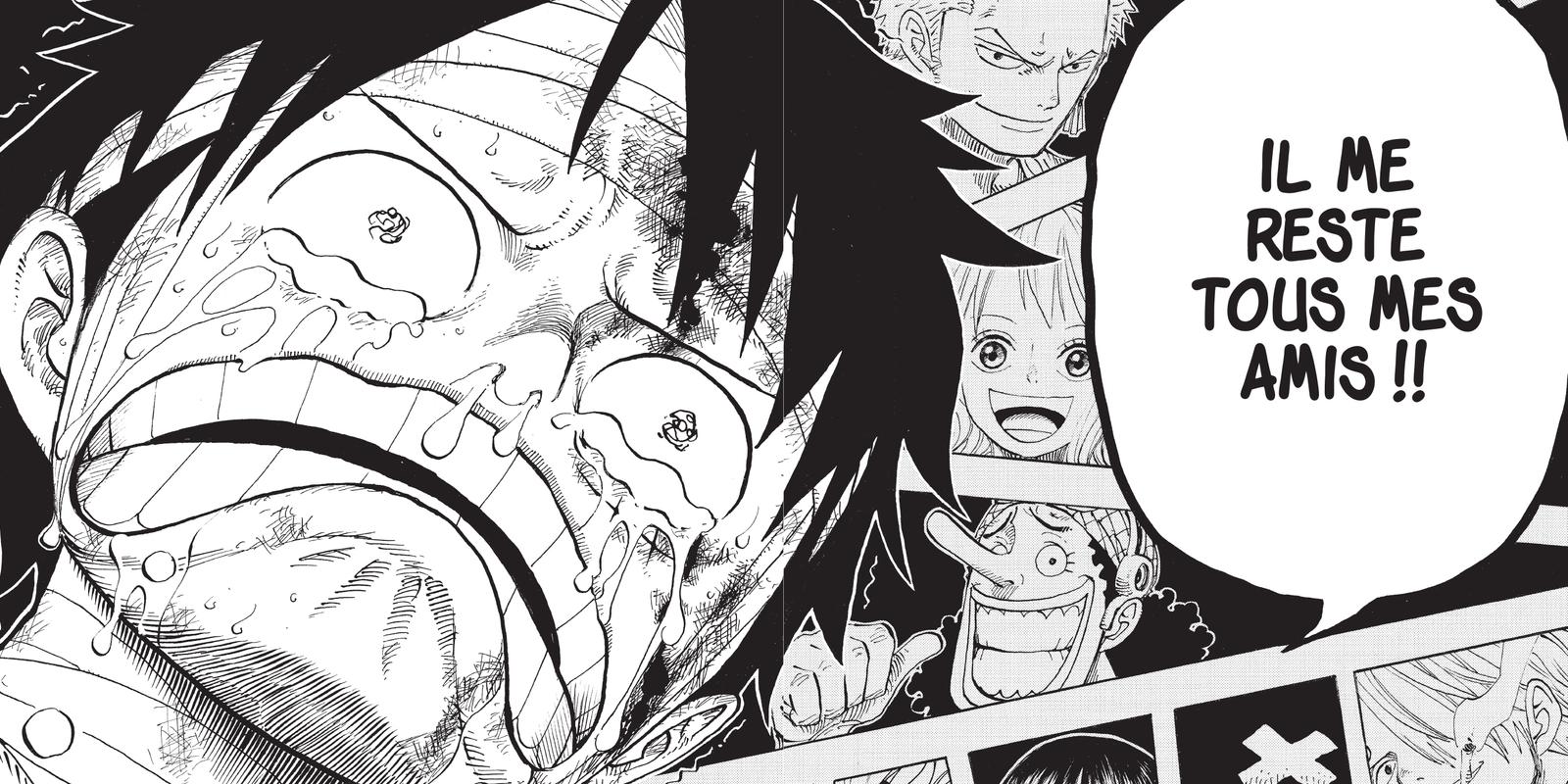 « One Piece Sur Netflix Retrouvez Vos Commentaires Et Les Réponses