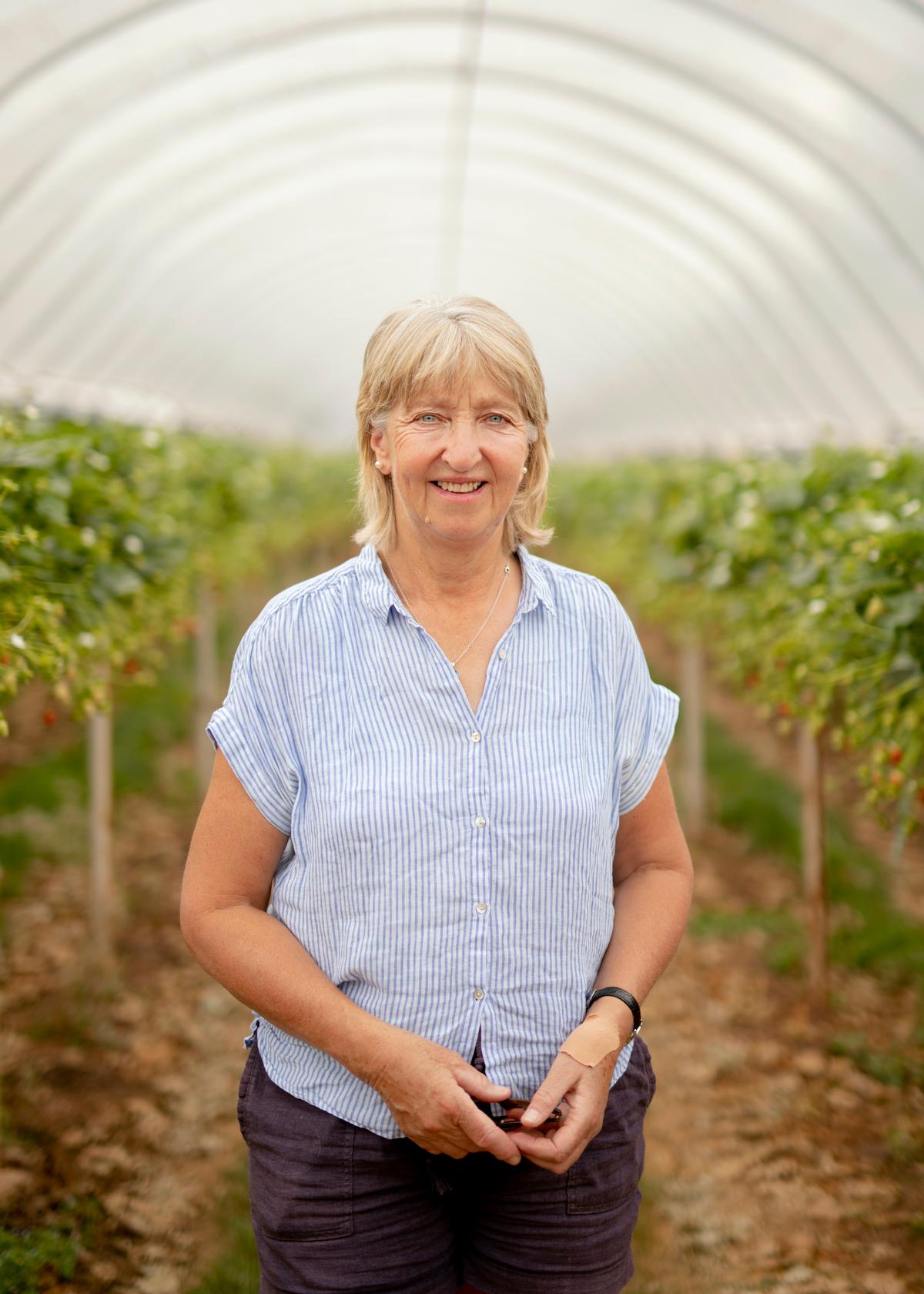 Post-Brexit, migrant farm workers in the UK increasingly come from Asia