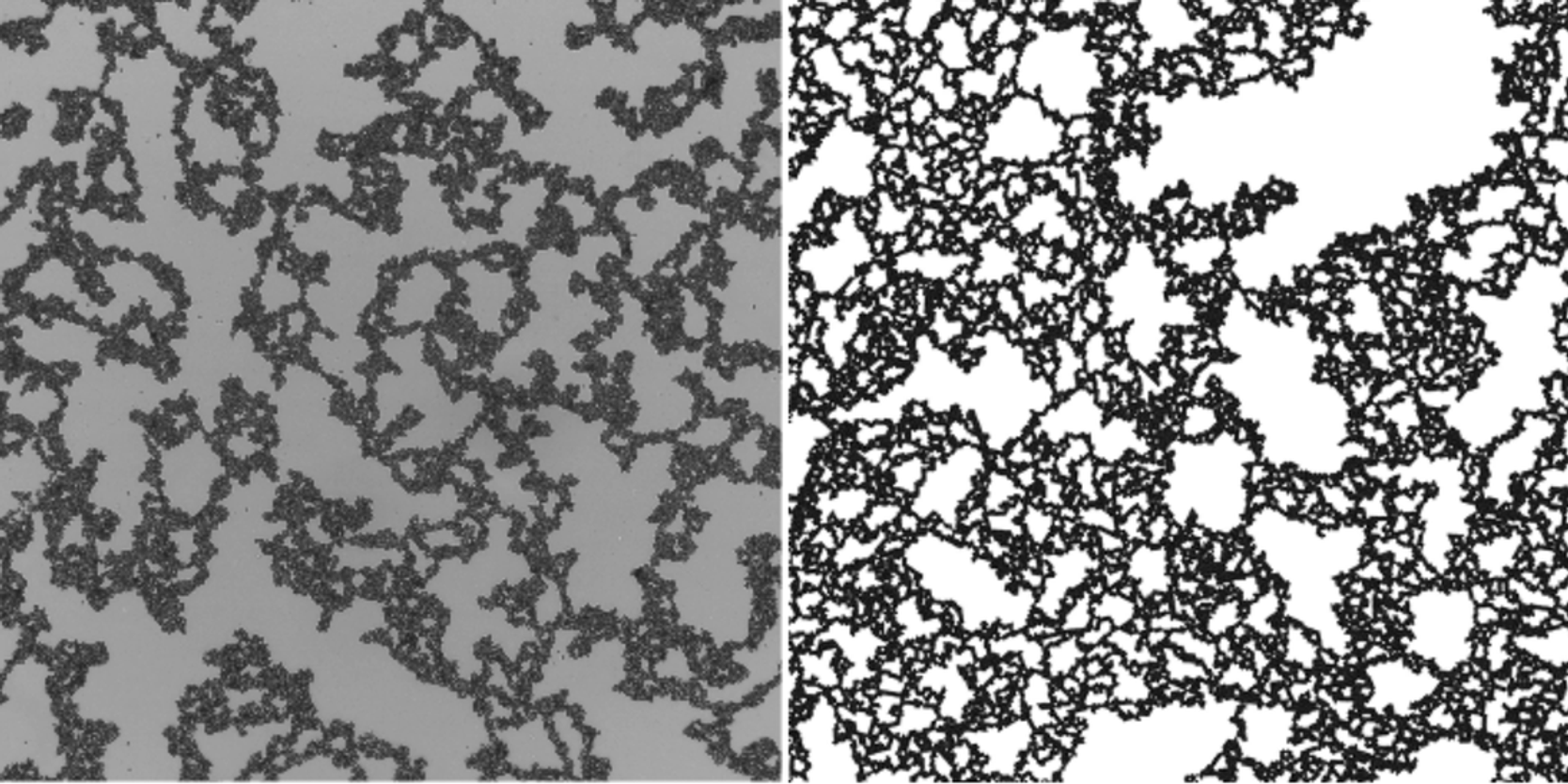 Des bactéries qui forgent de la matière