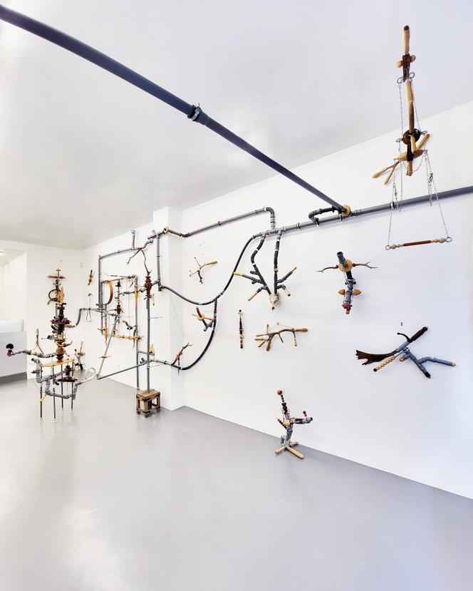 Lubos Plny à la galerie Christian Berst, le corps de l’intérieur