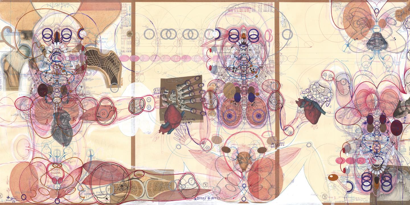 Lubos Plny à la galerie Christian Berst, le corps de l’intérieur