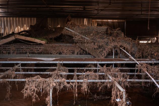 En Libye, dans le djebel Akhdar, avec les oubliés du cyclone Daniel ...