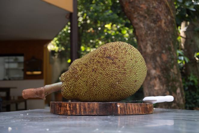 jackfruit environmental impact