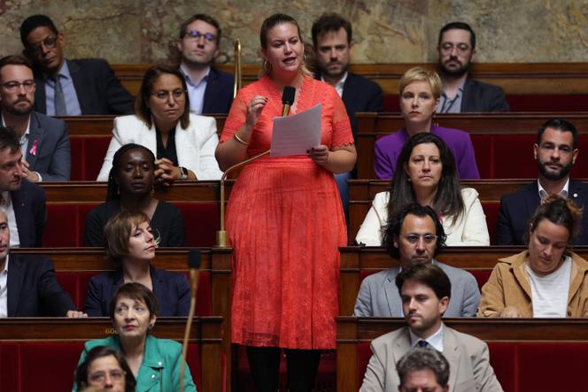 Les punaises de lit désignées comme un « fléau » à l’Assemblée nationale