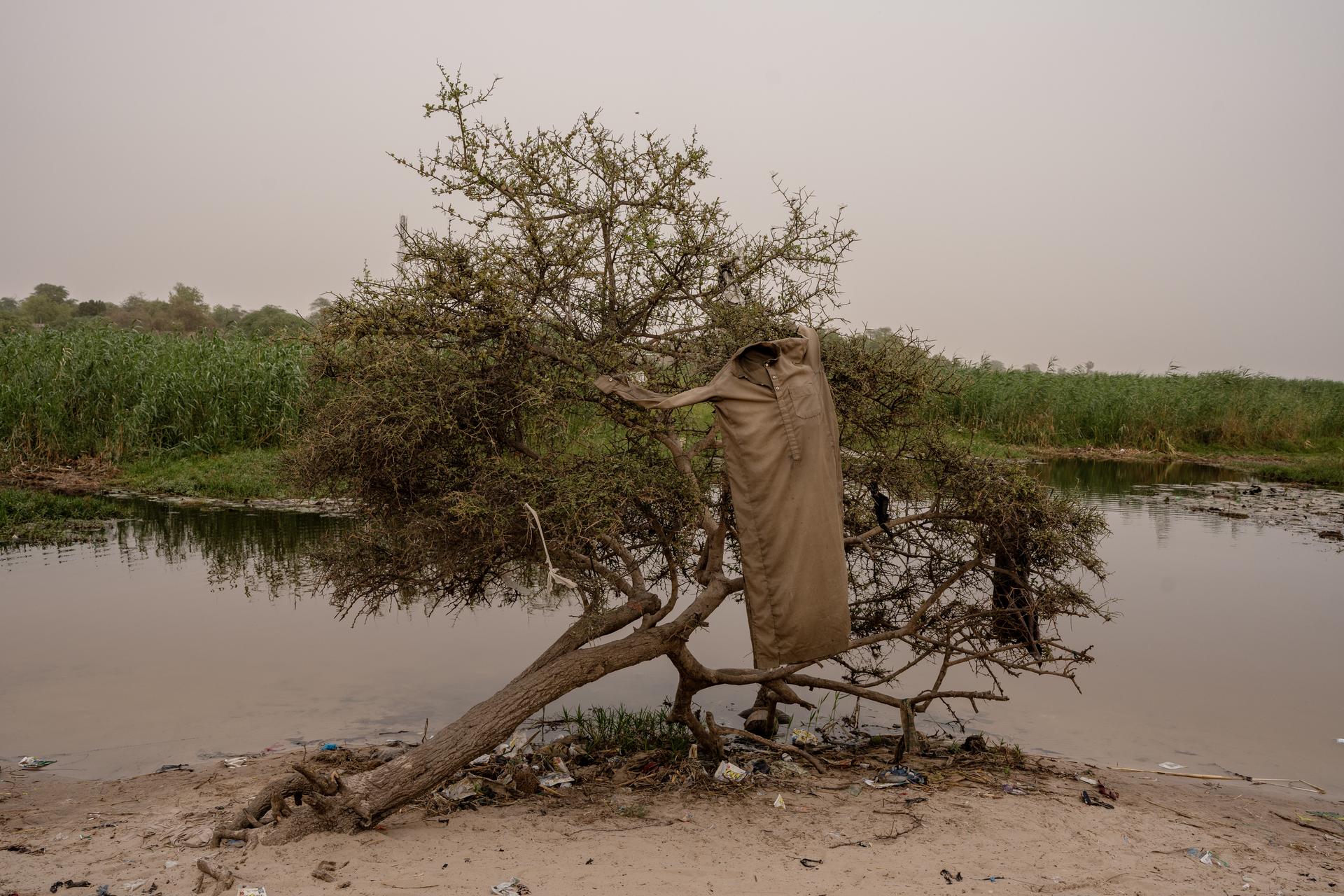 Entre famine et violences, sur les rives du lac Tchad, « nous hurlons ...