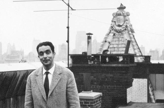 « Italo Calvino, l’écrivain perché », sur Arte : le poète malicieux qui ...