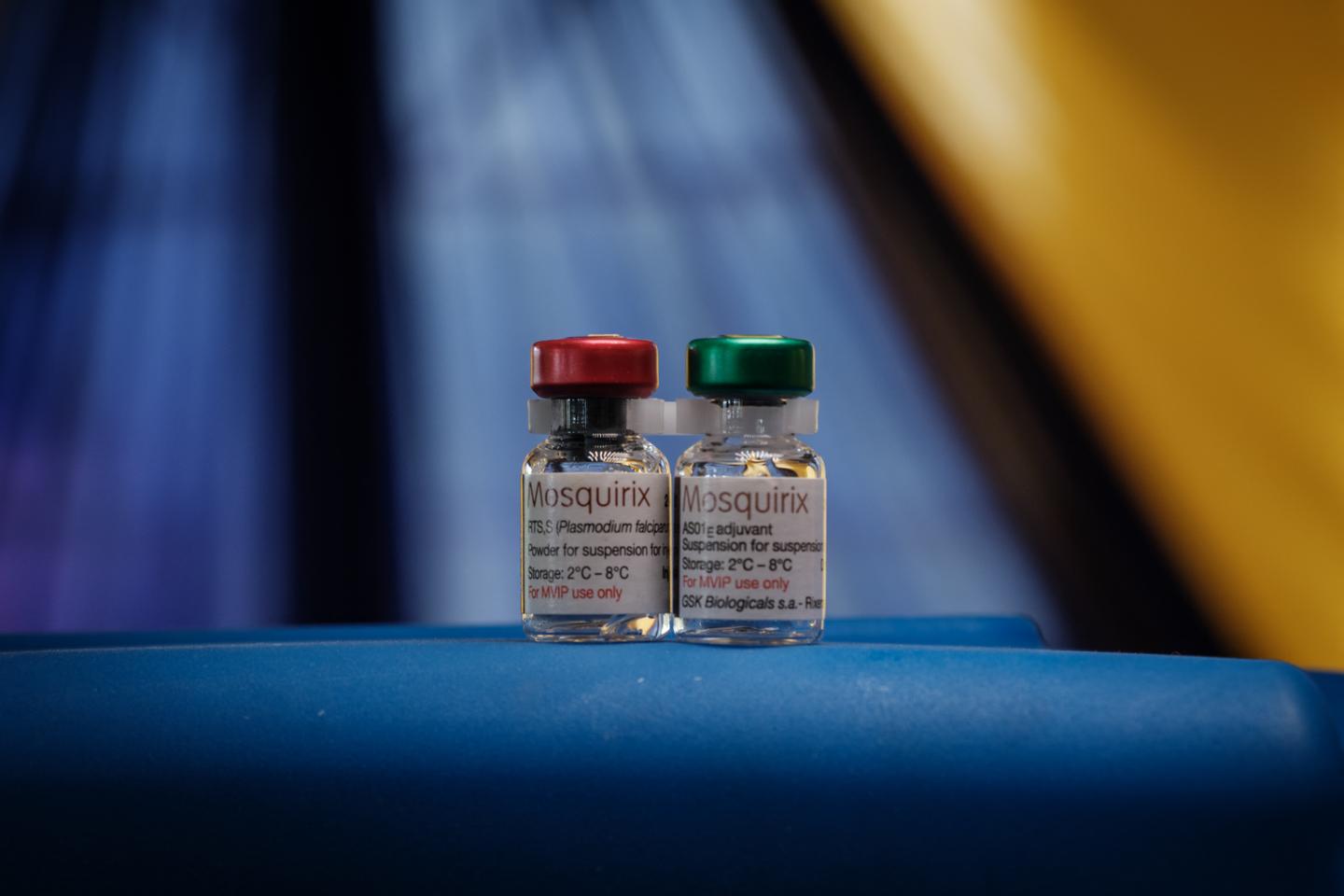 Two vaccines could be strong contenders in the fight against malaria in ...