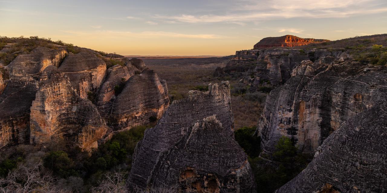 Brazil's Serra da Capivara cave paintings are under threat