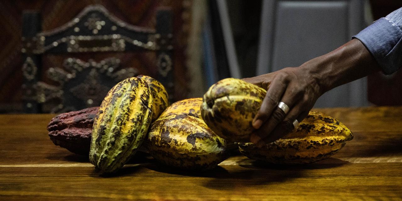 In Abidjan, Ivorians want to 'decolonize' chocolate