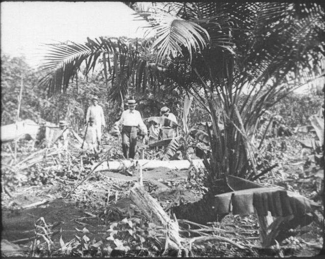 In Brazil, one of the oldest films shot in the Amazon miraculously ...