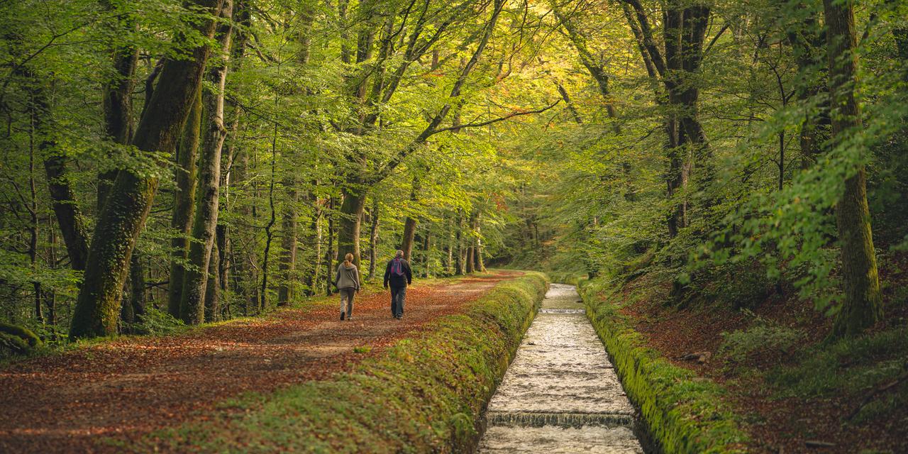 La Montagne Noire, aux origines du canal du Midi