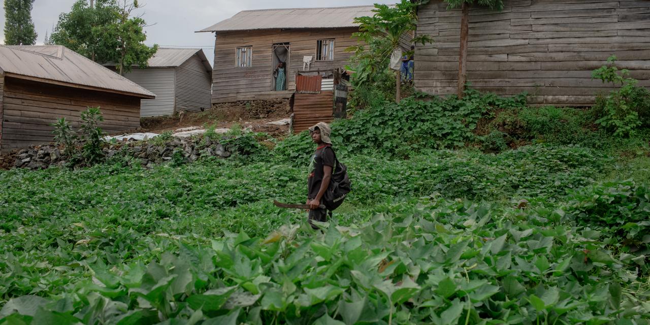 Les « wazalendo », des « patriotes » en guerre dans l’est de la RDC